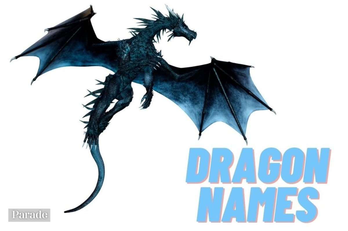 Cool Dragon Names: Best Picks for Fantasy Lovers – Lifestyle Net Worth