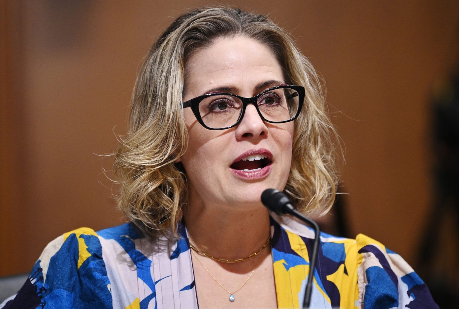 Kyrsten Sinema Husband: Exploring Her Life and Career – Lifestyle Net Worth