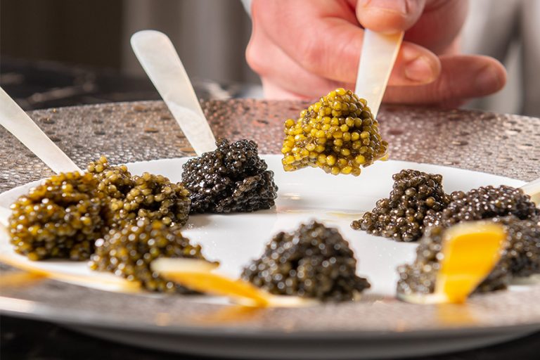 The Different Types of Caviar You Should Know About – Lifestyle Net Worth