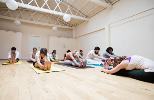 Find the Best Hatha Yoga Classes for Flexibility and Balance ...